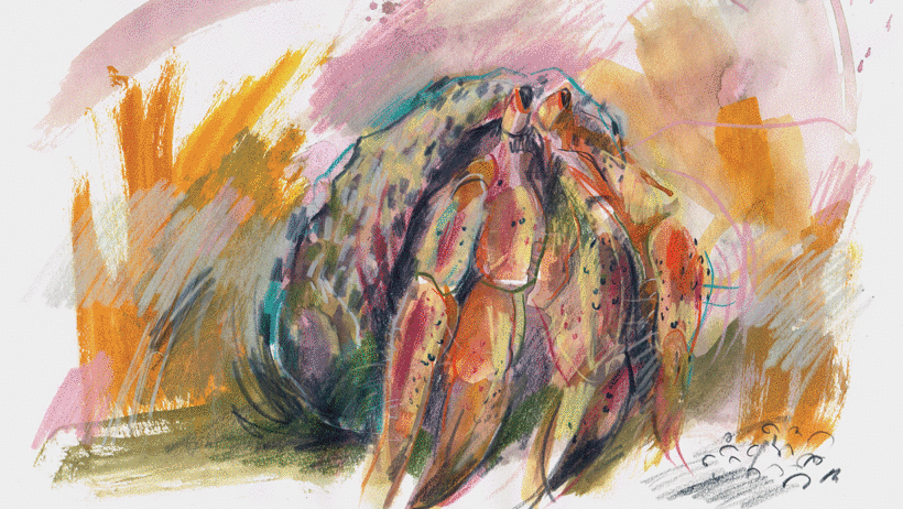 Online Course - Animal Illustration with Charcoal and Ink (Laura ...